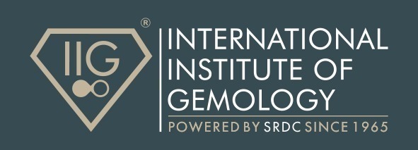 IIG Coming to Surat Soon - SVAR Events & Media Network